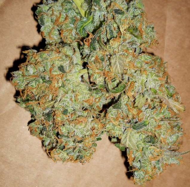 ACDC Strain - online dispensary shipping worldwide